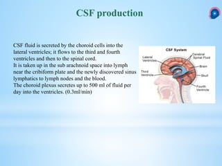 Choroid plexus | PPTX