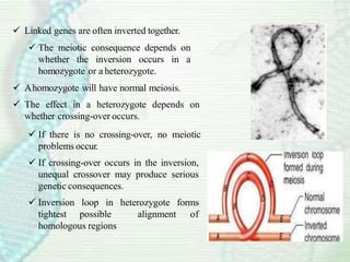 Choromosomal abberation (structural).pptx