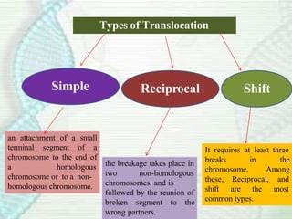 Choromosomal abberation (structural).pptx