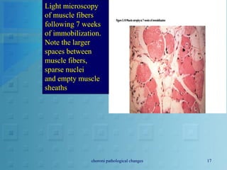 spine chronic pathological changes. | PDF