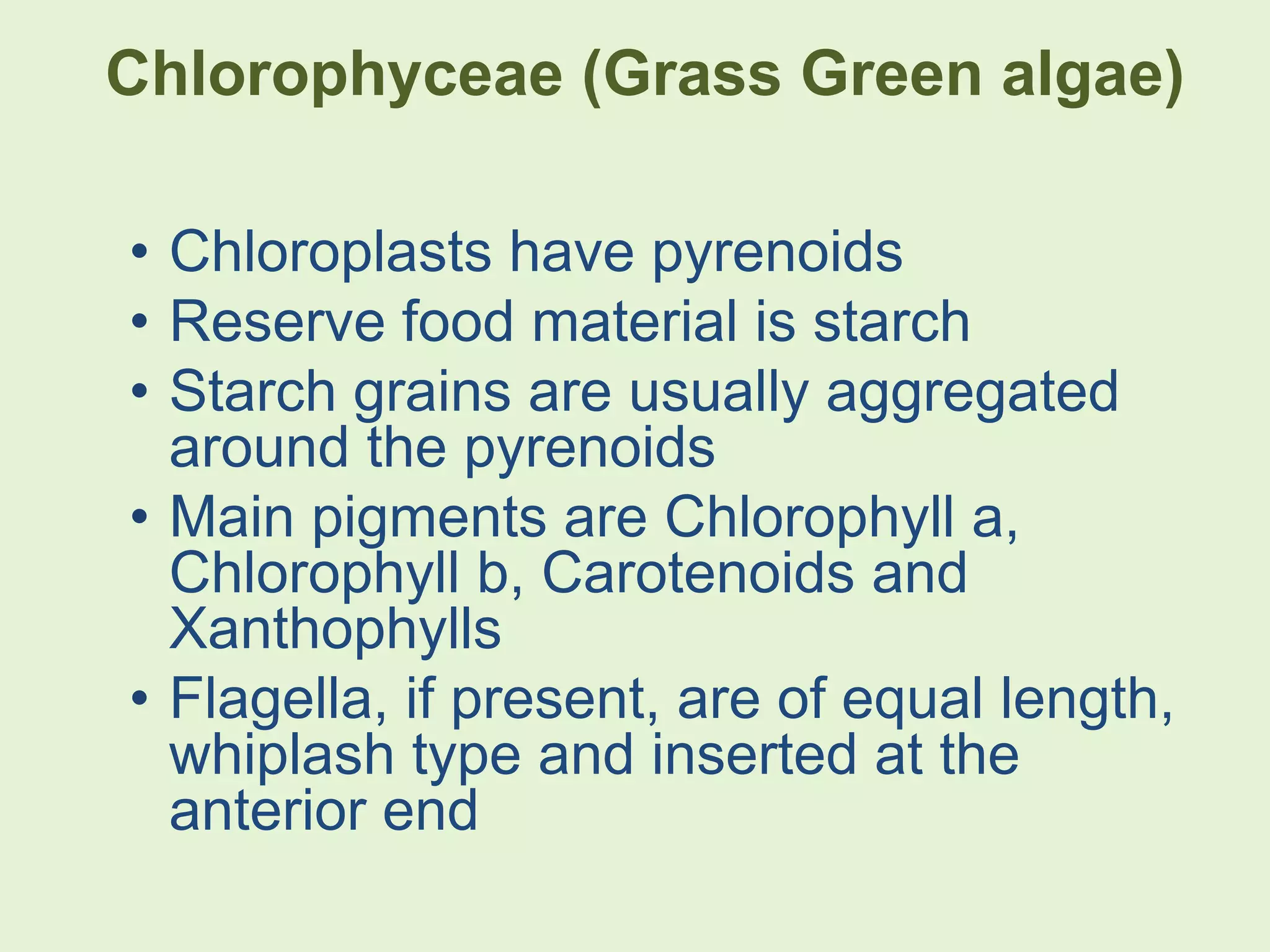 Chorophyceae,Chlorophyta | PPT