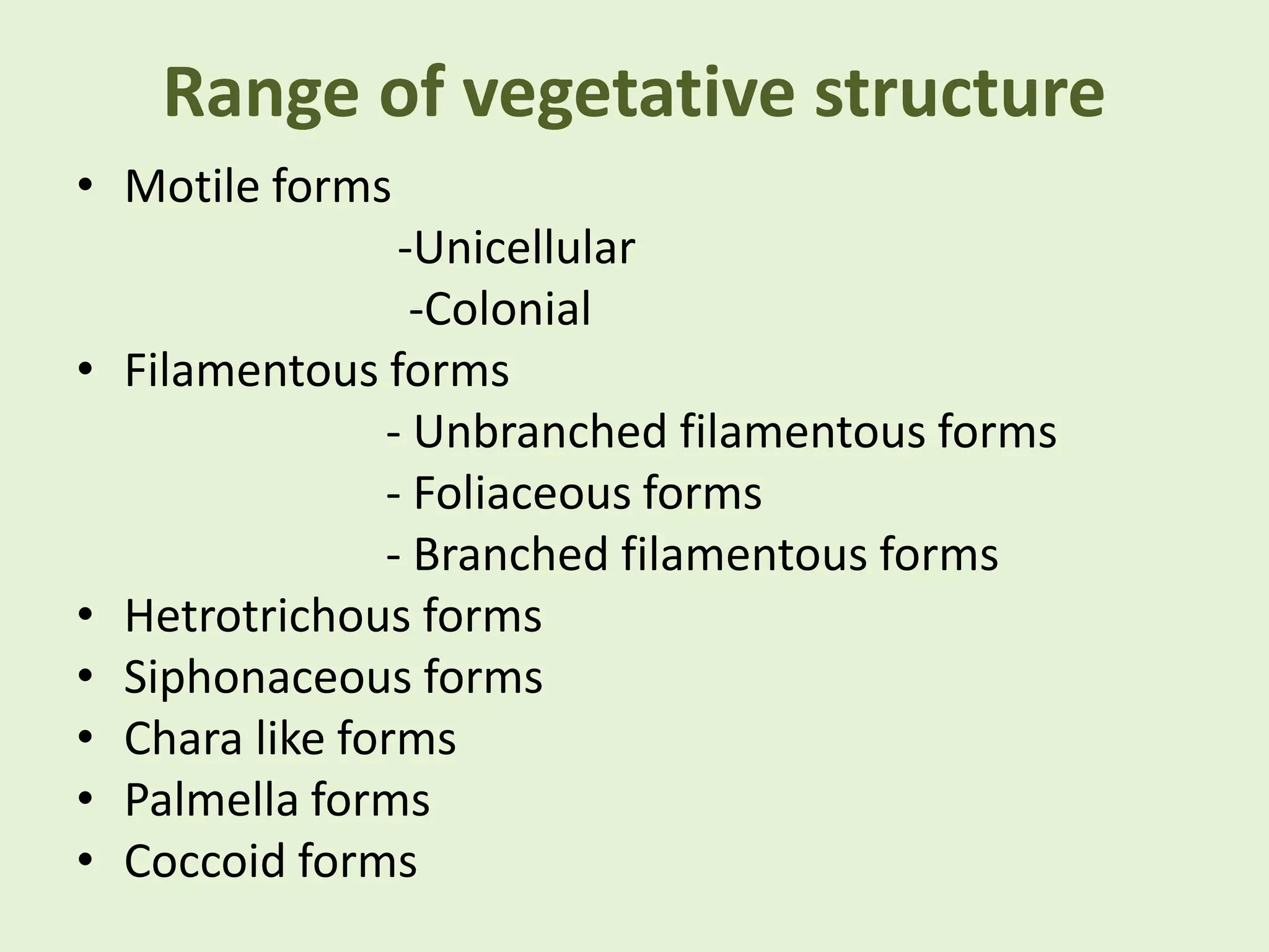 Chorophyceae,Chlorophyta | PPT