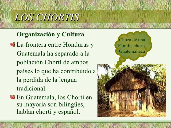 Chortis