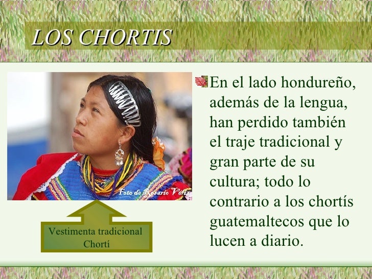 Chortis