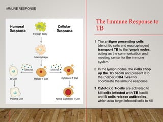 CHOs Final Yr 2023 Tuberculosis presentation | PPTX