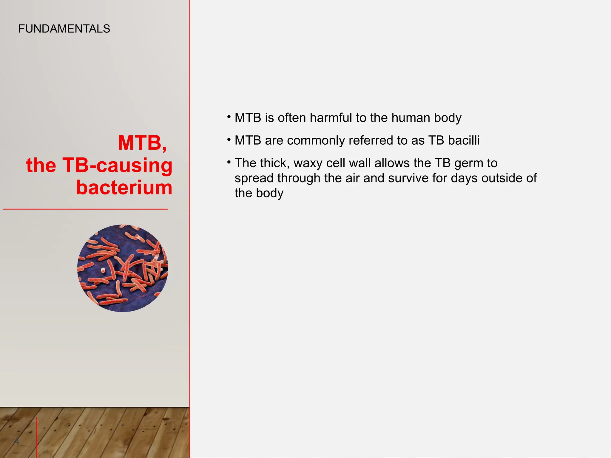 CHOs Final Year, 2023 Tuberculosis.pptx. | PPTX