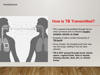 CHOs Final Year, 2023 Tuberculosis.pptx. | PPTX