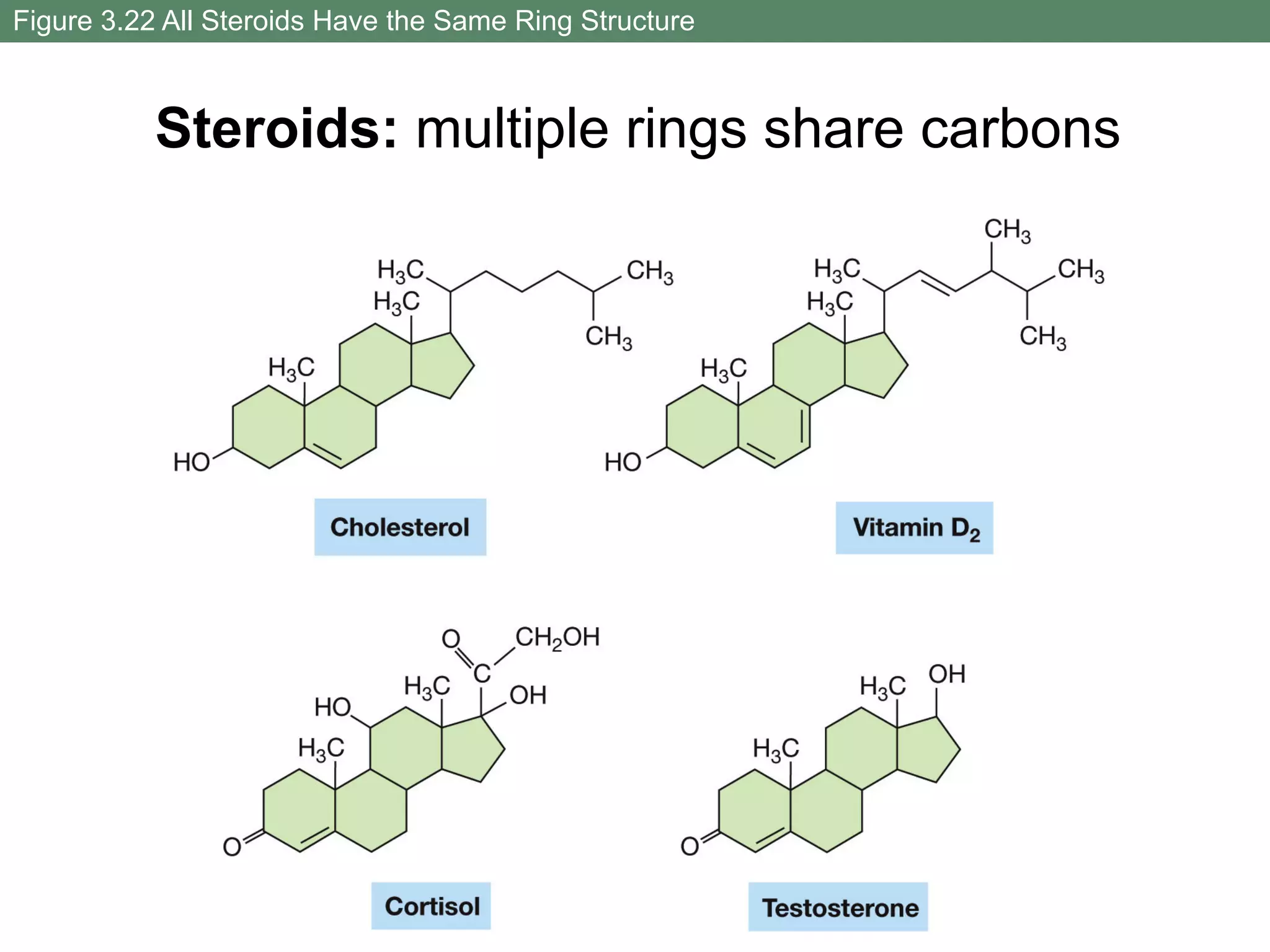 CHOs, Lipids, CHONS.pdf