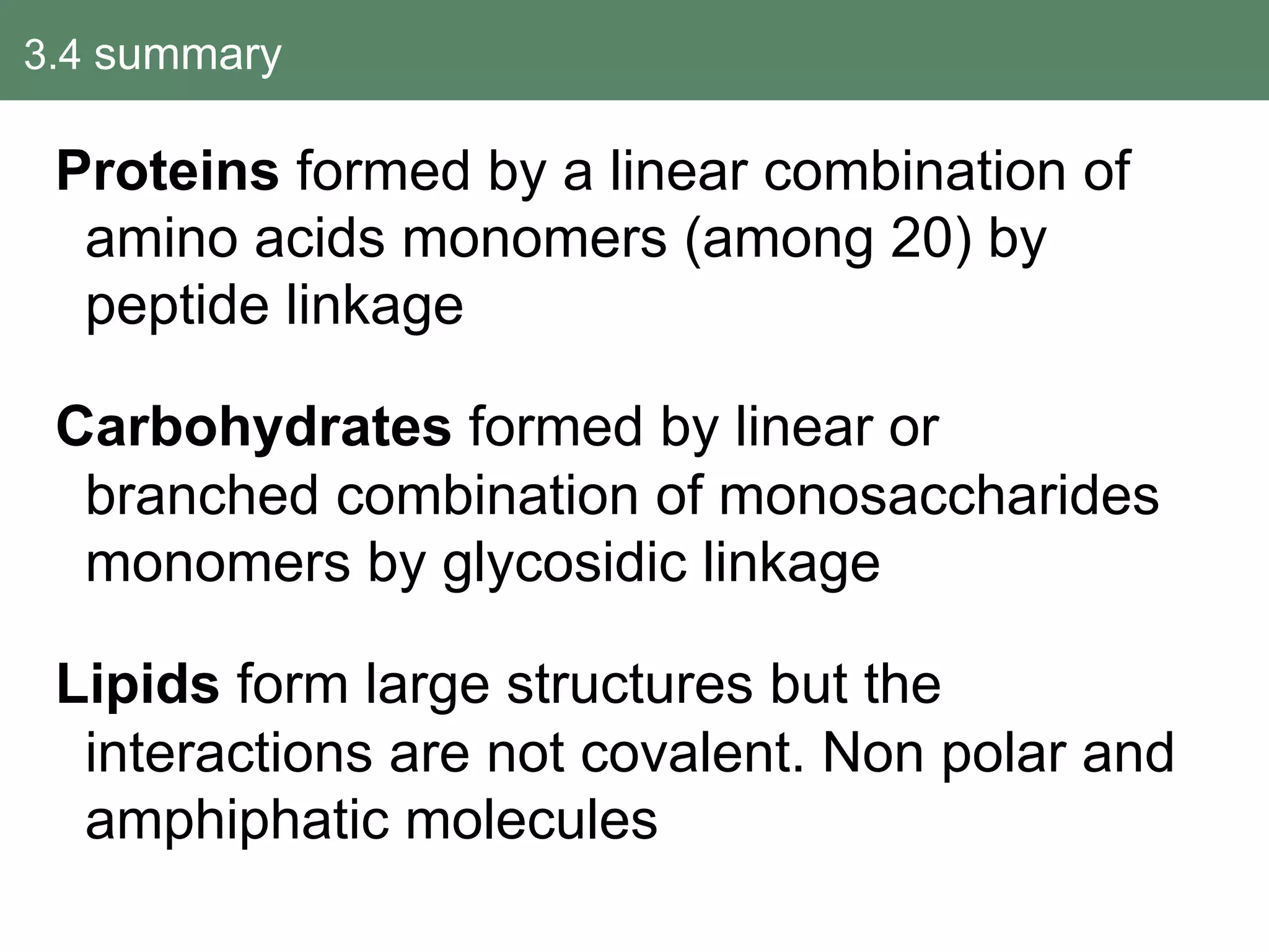 CHOs, Lipids, CHONS.pdf