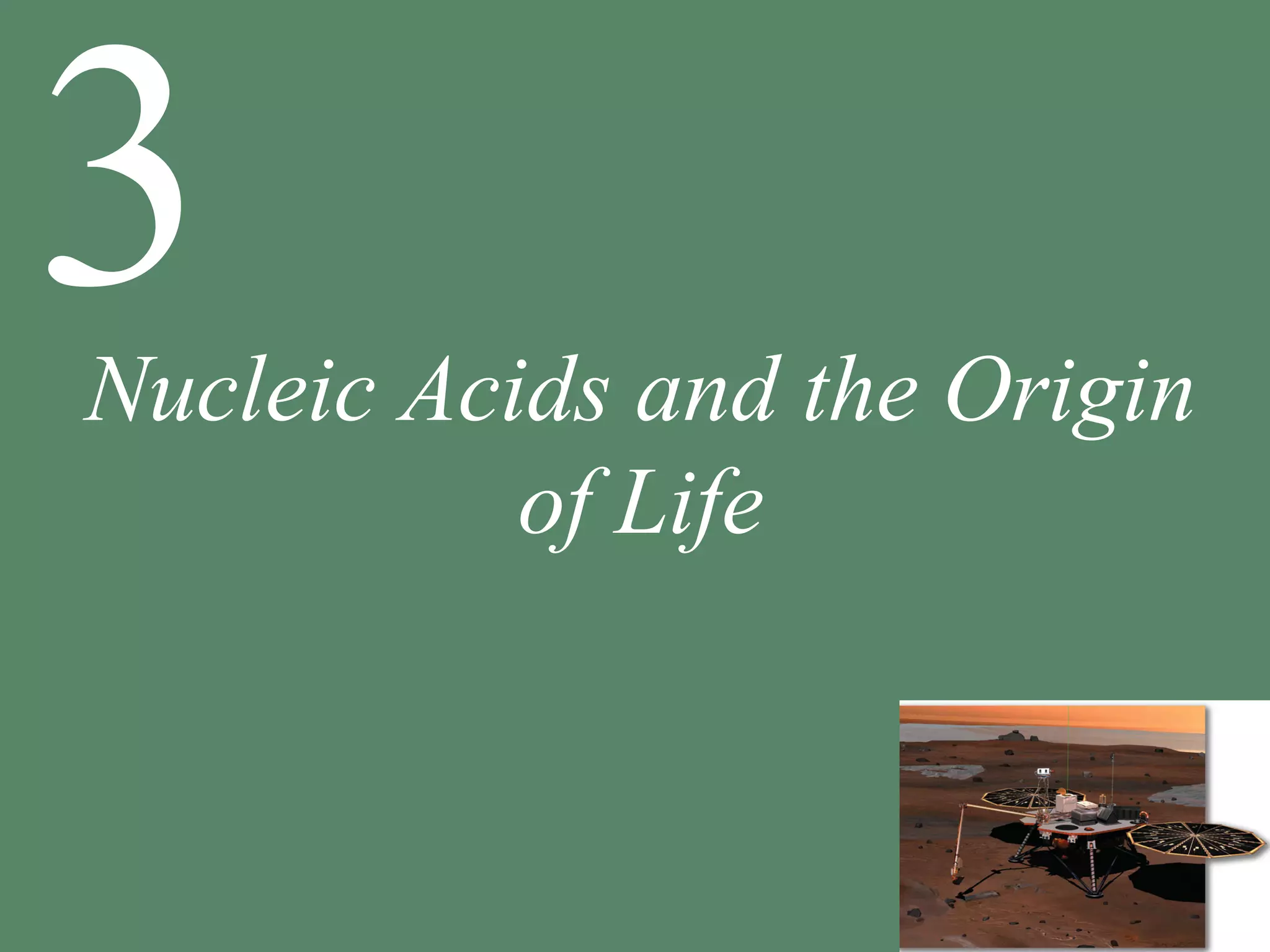 CHOs, Lipids, CHONS.pdf