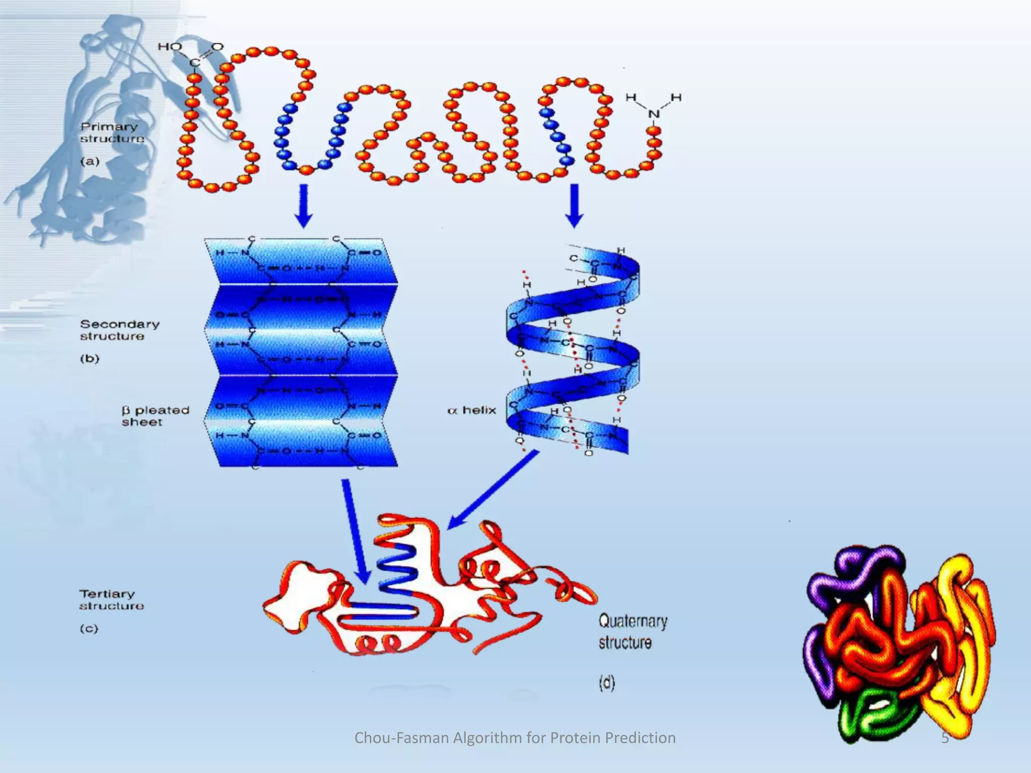Chou fasman algorithm for protein structure prediction | PPTX