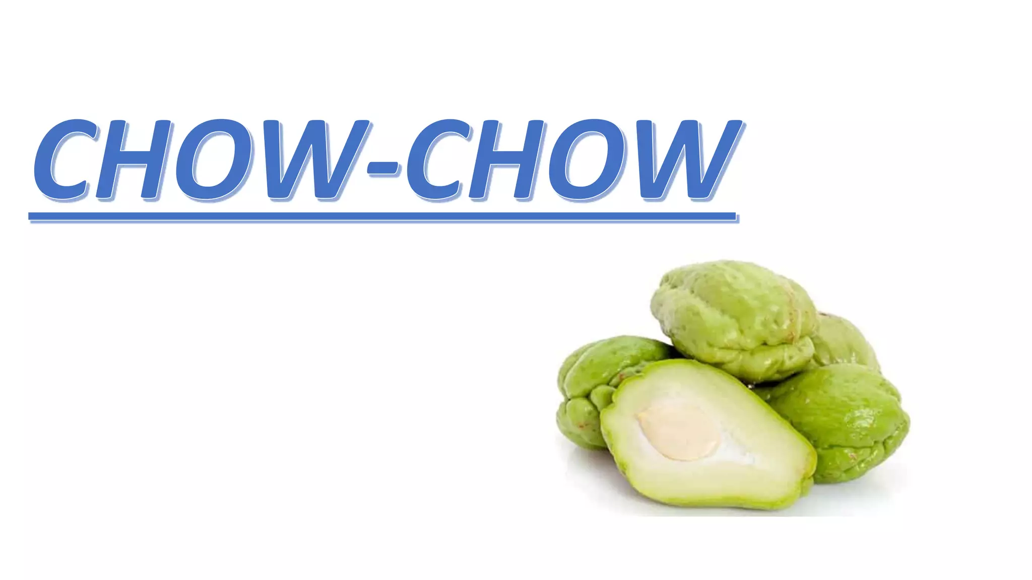 Chow chow | PPTX