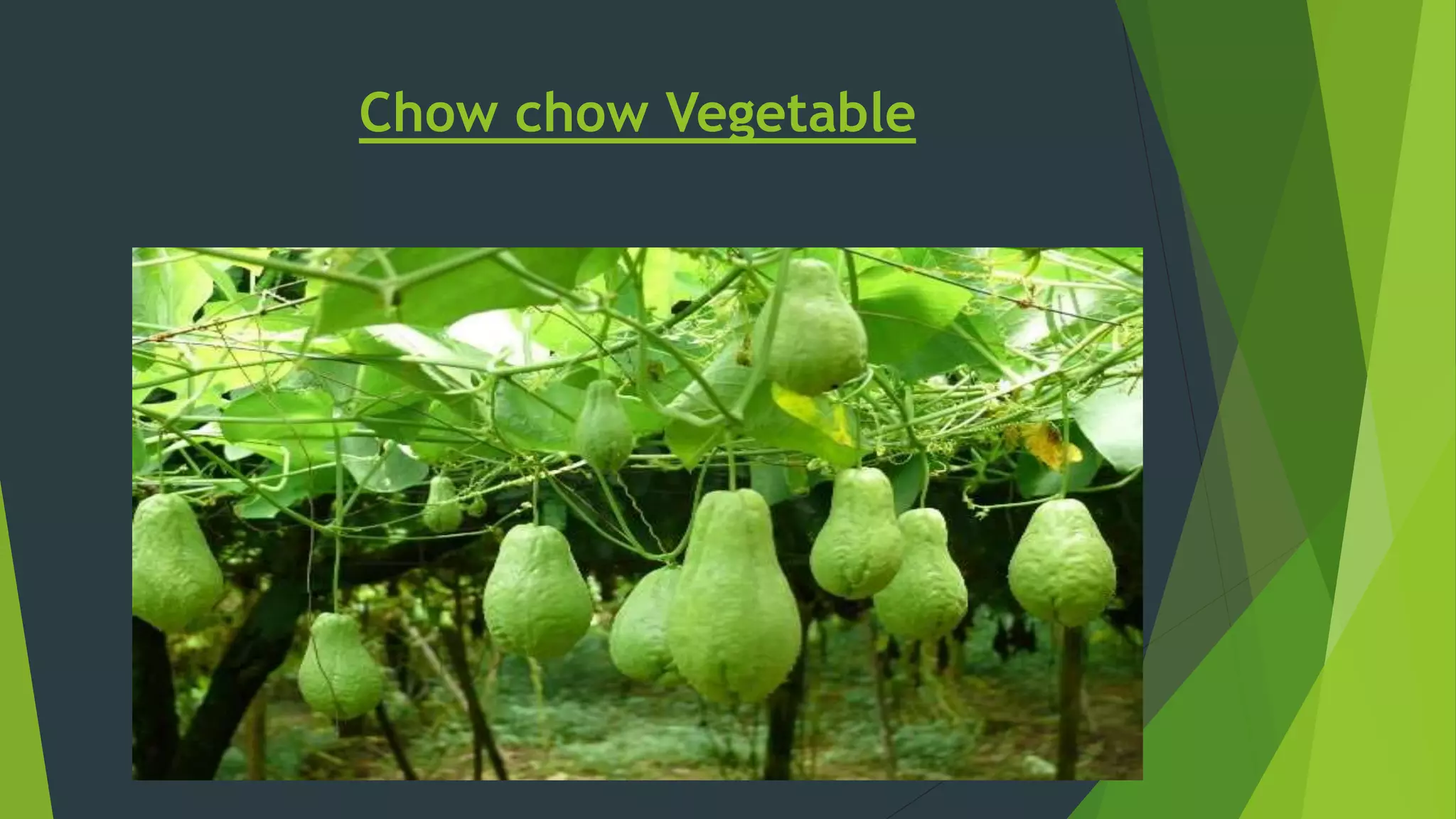 Chow chow vegetable | PPTX