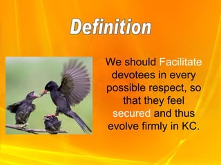 Chowpatty Devotee Care | PPT