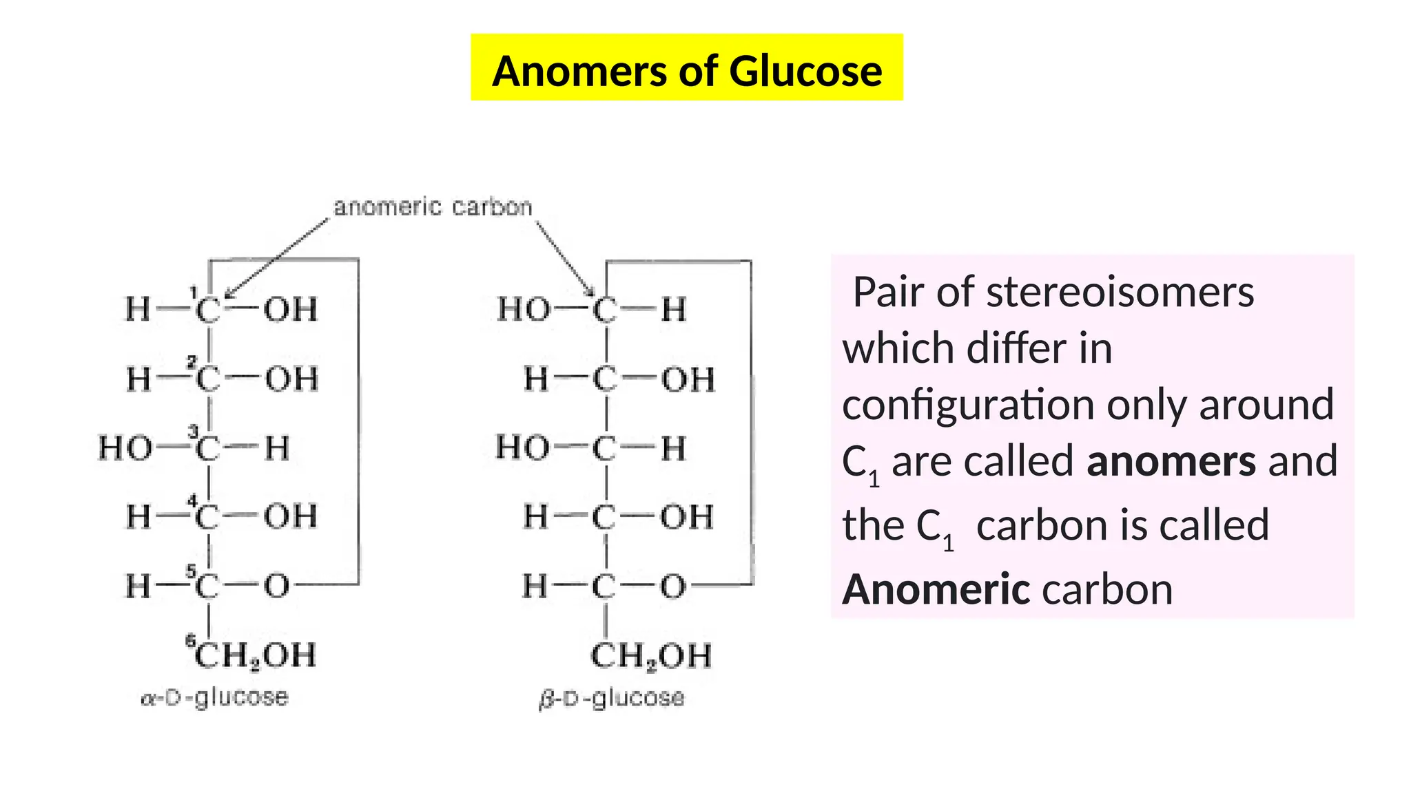 CHAPTER-10 BIOLOGY CLASS 12 IMPORTANT.pptx