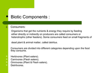 Dimensions of environment | PPT