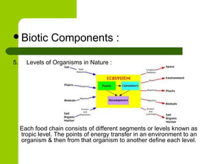 Dimensions of environment | PPT