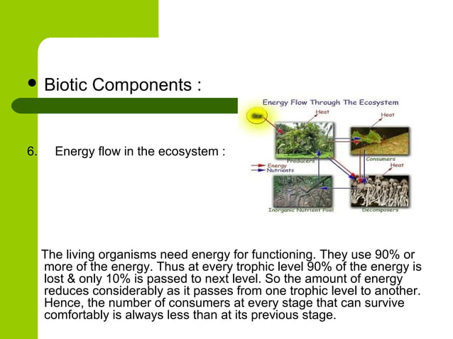 Dimensions of environment | PPT | Geography | Science