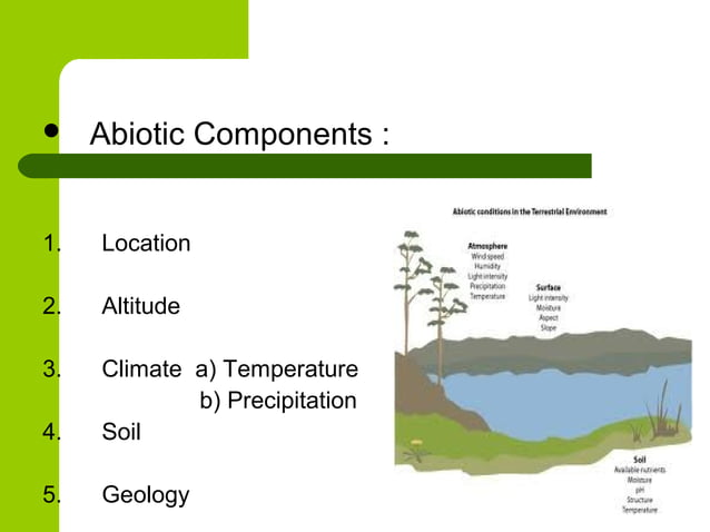 Dimensions of environment | PPT | Geography | Science