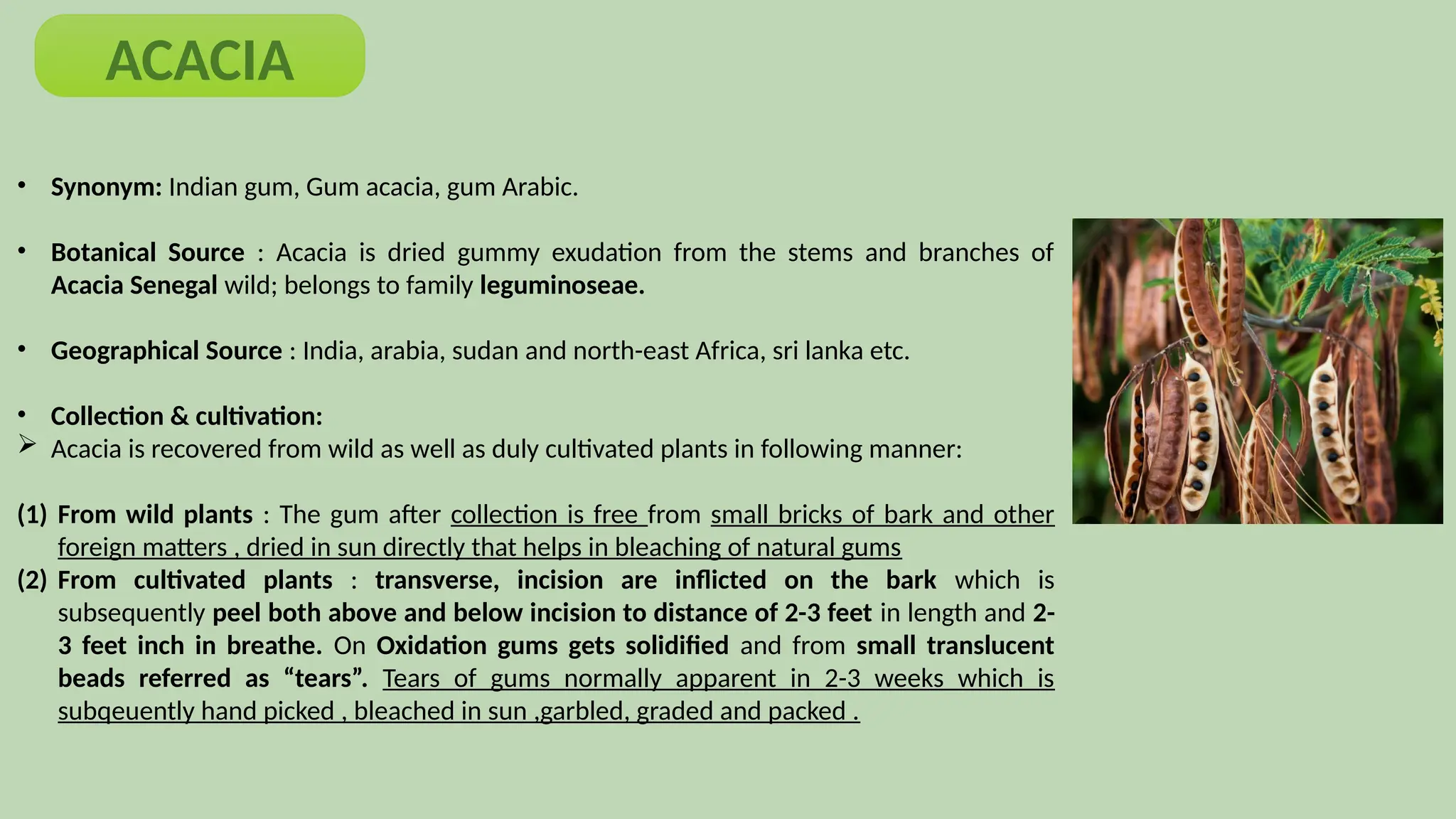Unit 5 Carbohyrates Pharmacognosy Sem- 3 | PPTX