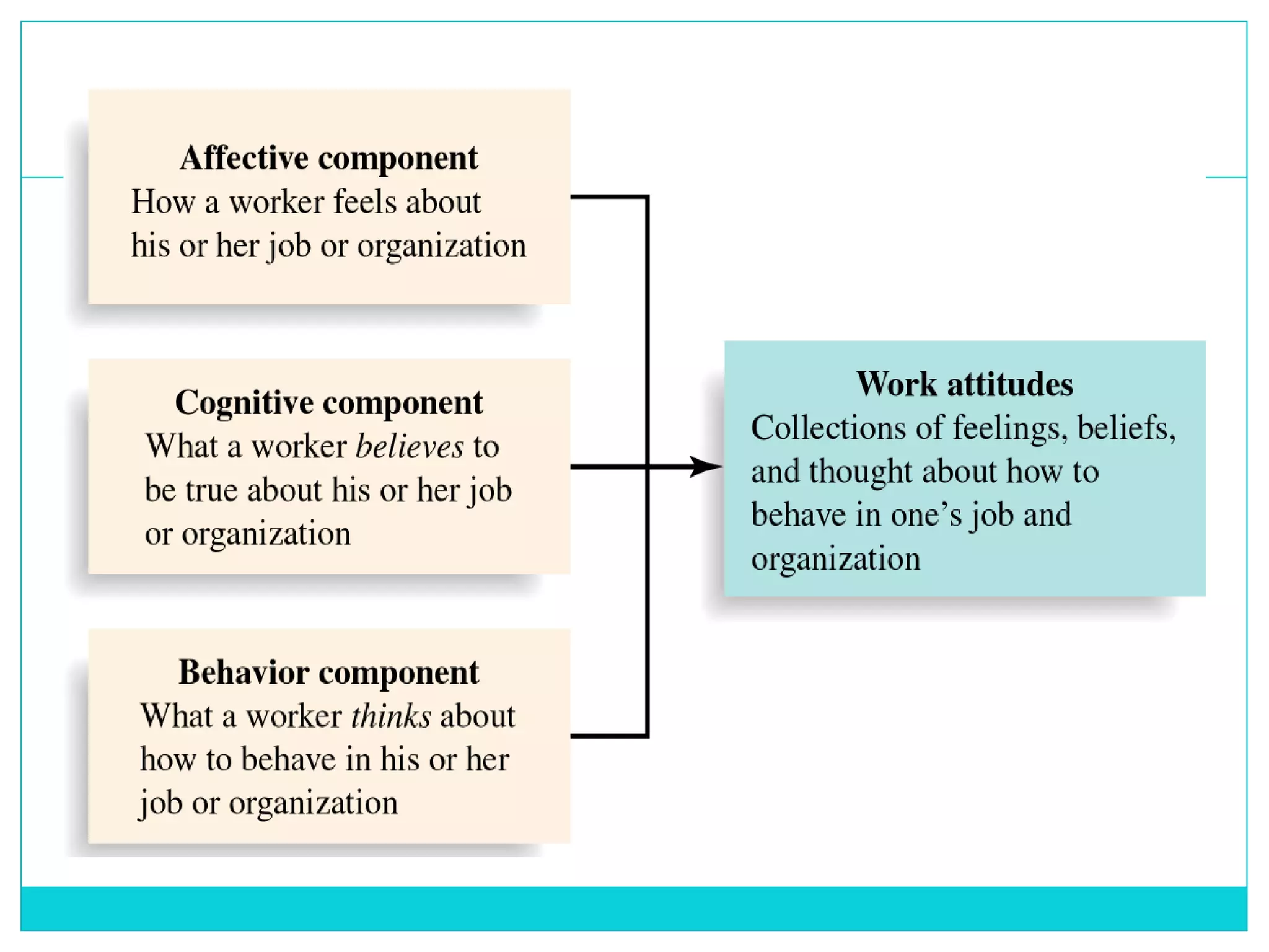 organizatioal Behavior : Values, Attitude and Job Satisfaction | PDF