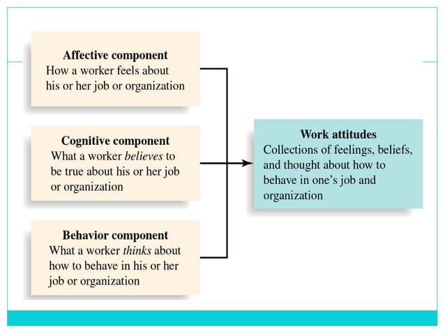 organizatioal Behavior : Values, Attitude and Job Satisfaction | PDF