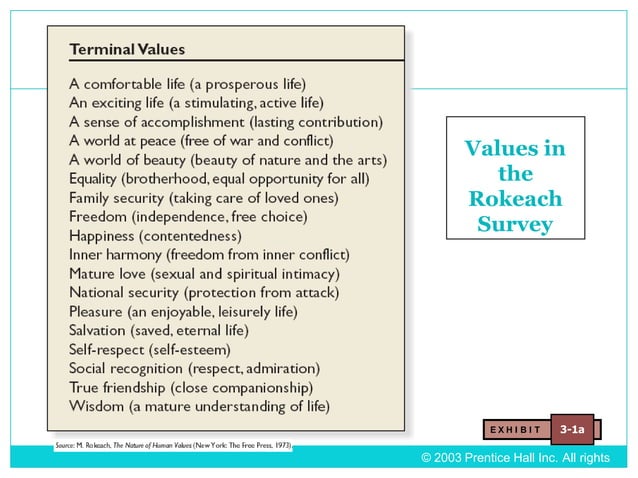 organizatioal Behavior : Values, Attitude and Job Satisfaction | PDF