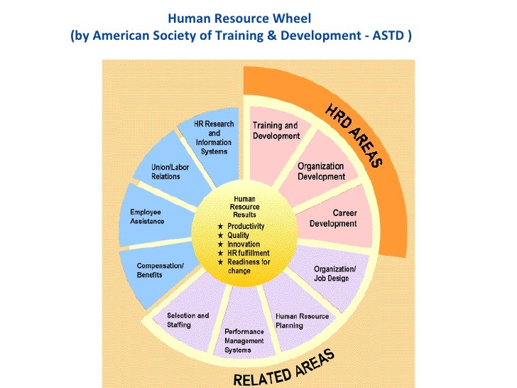 Chp 1 human resource management
