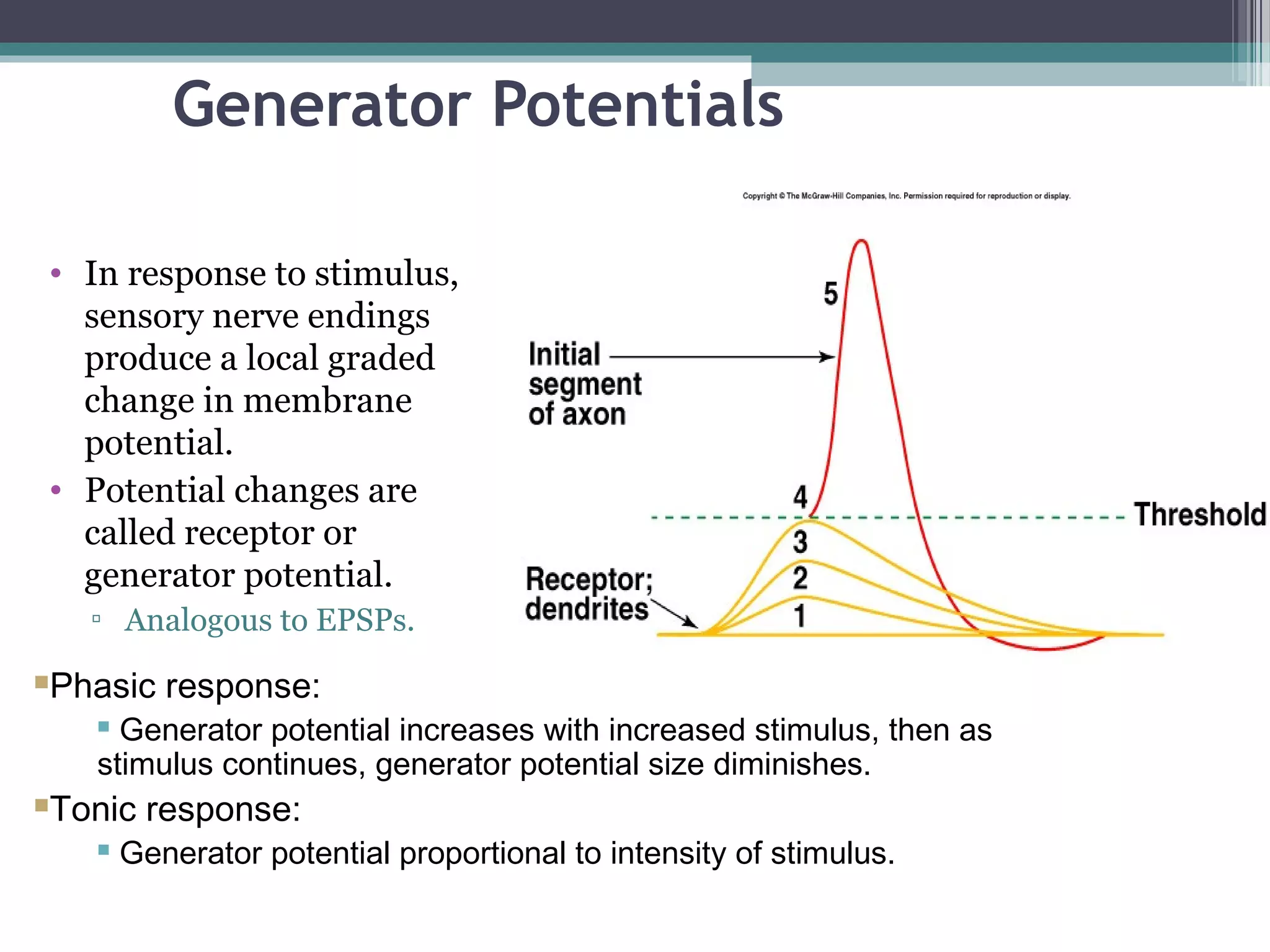 Sensory physiology | PPT