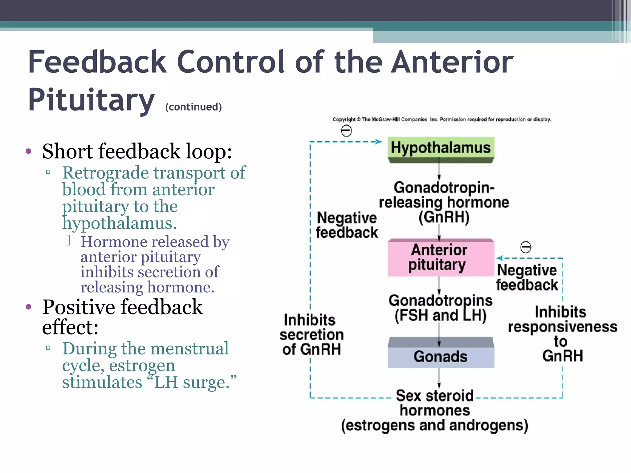 Endocrine glands | PPT
