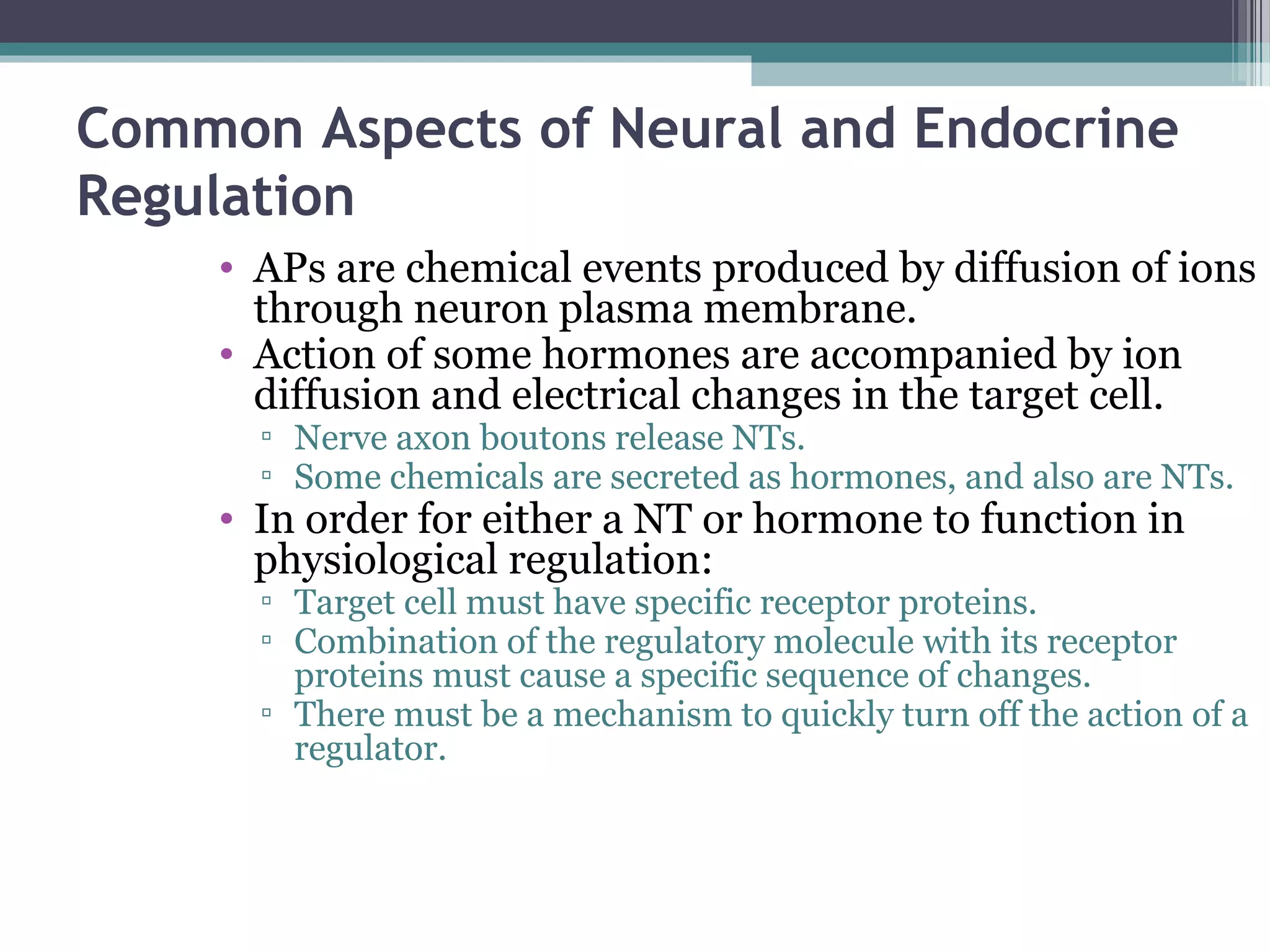 Endocrine glands | PPT