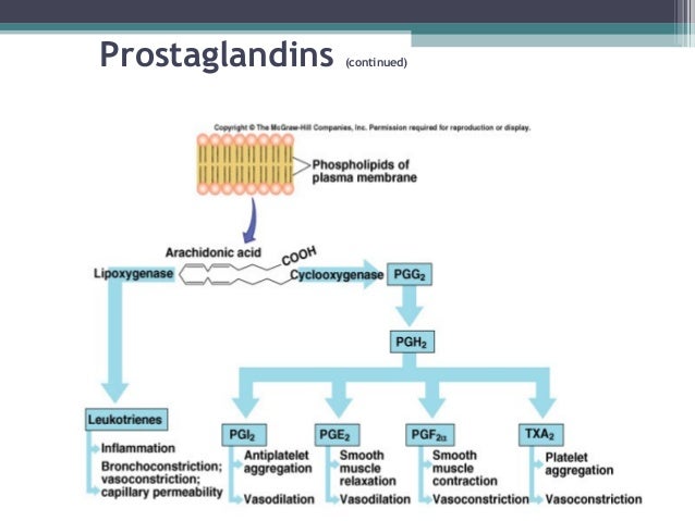 Endocrine glands