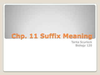 Chp 11 suffix | PPTX