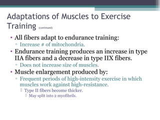Muscle Physiology | PPT