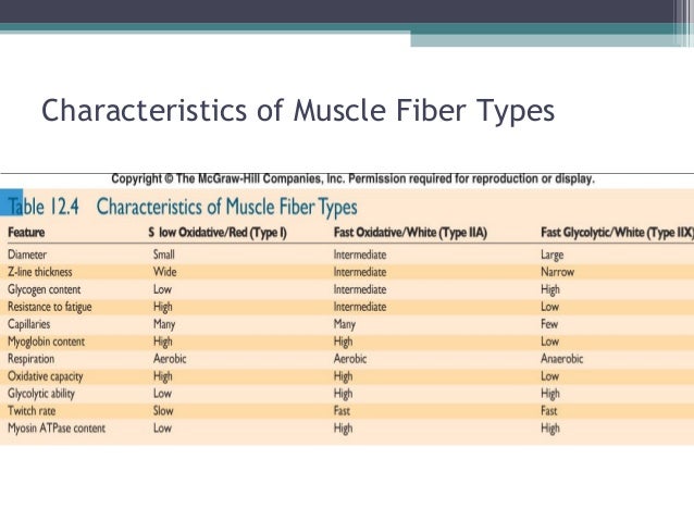 Muscle Physiology
