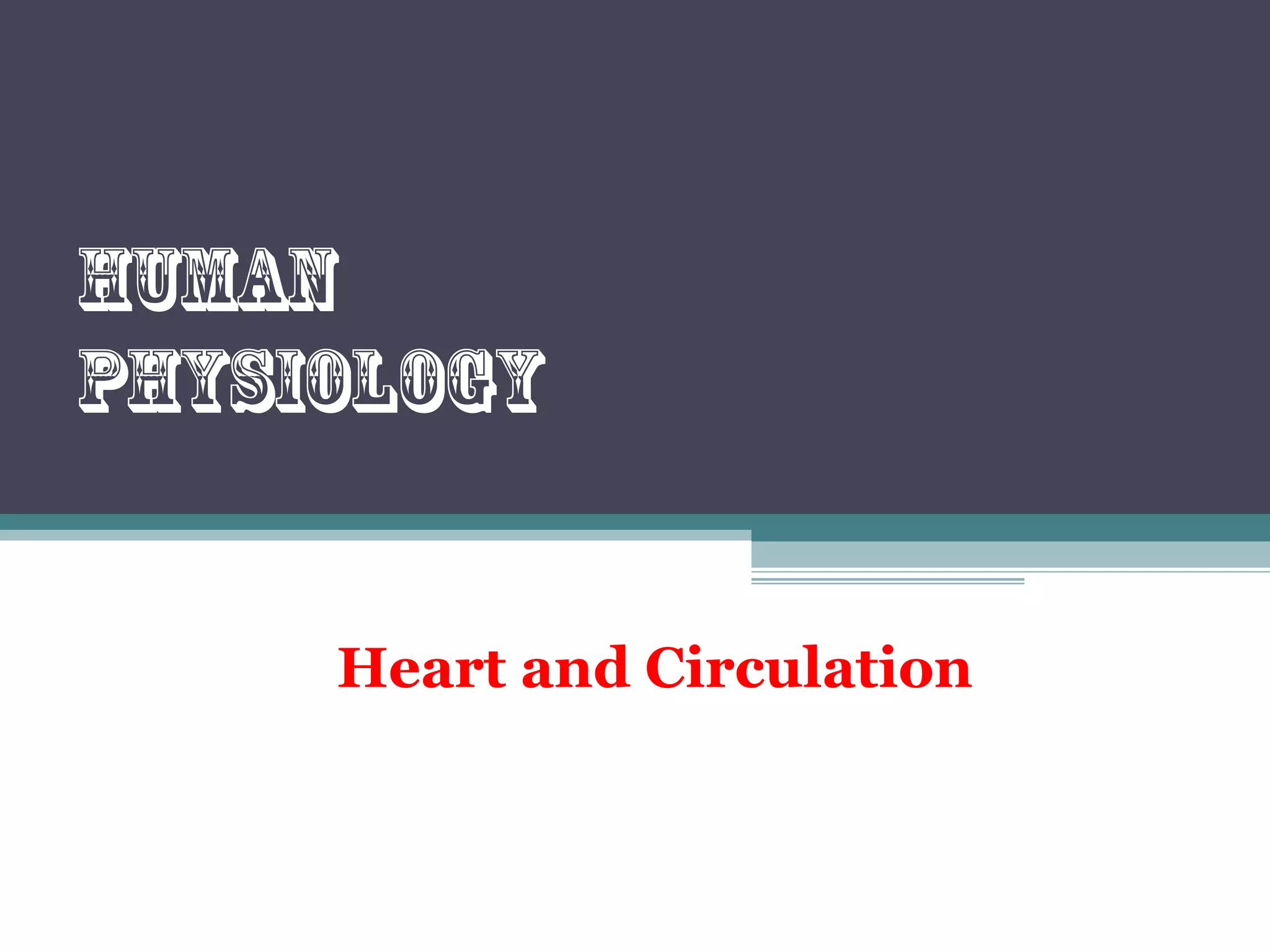 Heart and Circulation | PPT