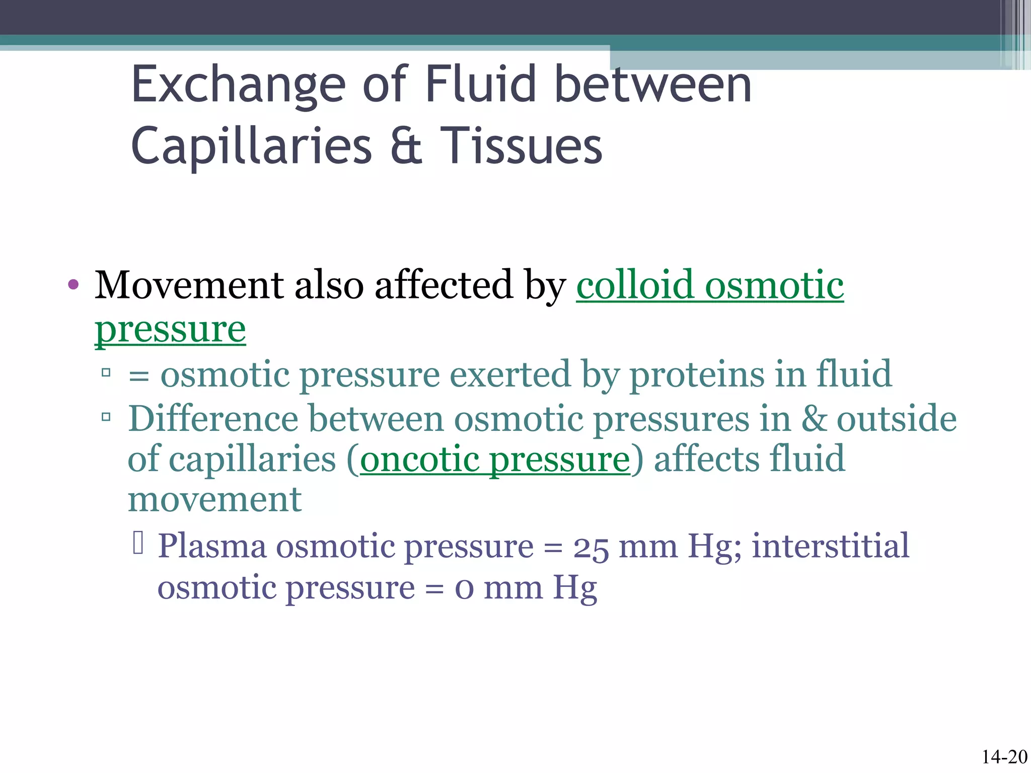 Cardiac output, blood flow, and blood pressure | PPT