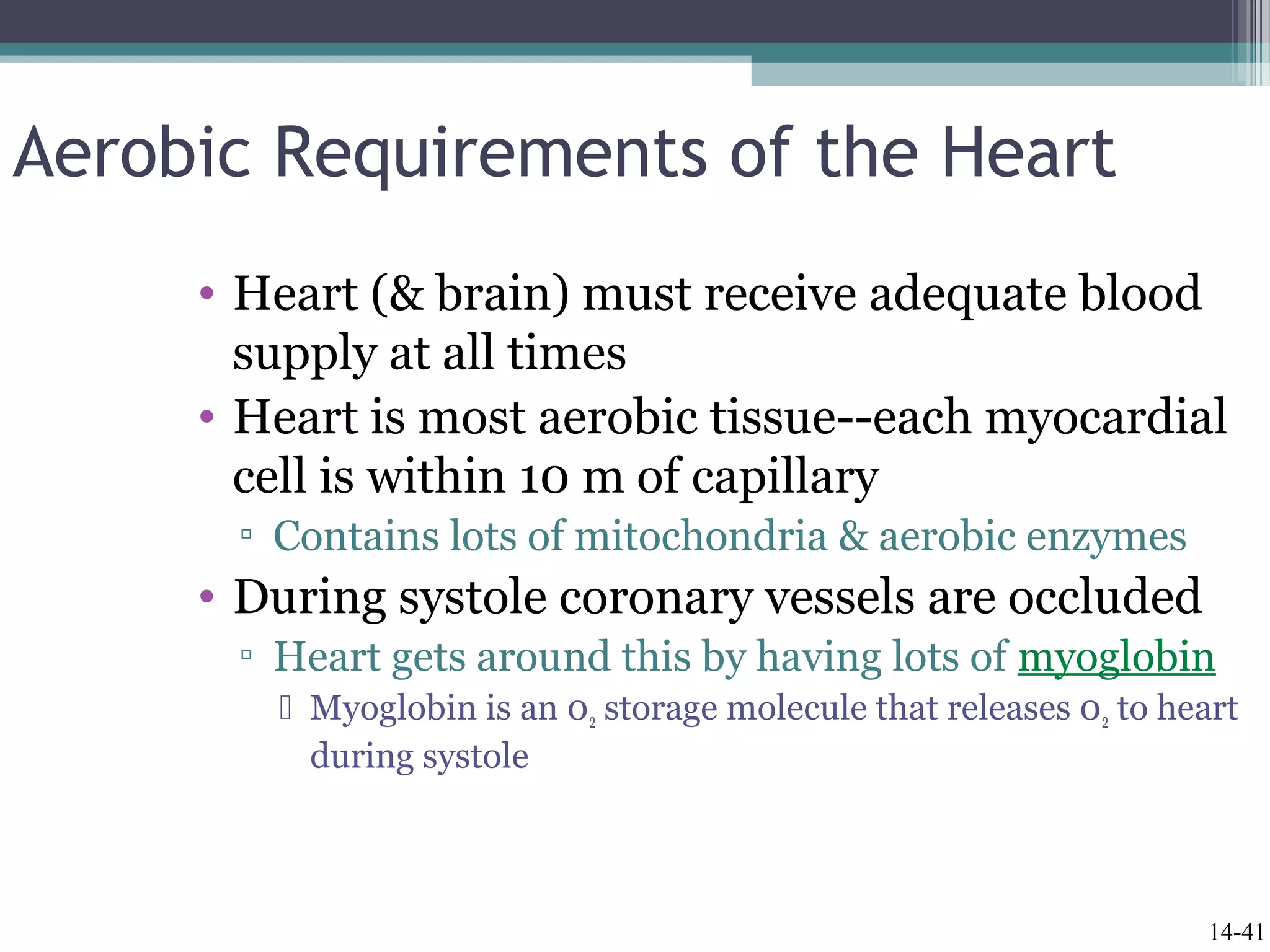 Cardiac output, blood flow, and blood pressure | PPT