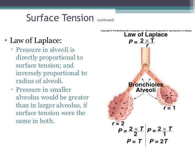 Respiratory physiology