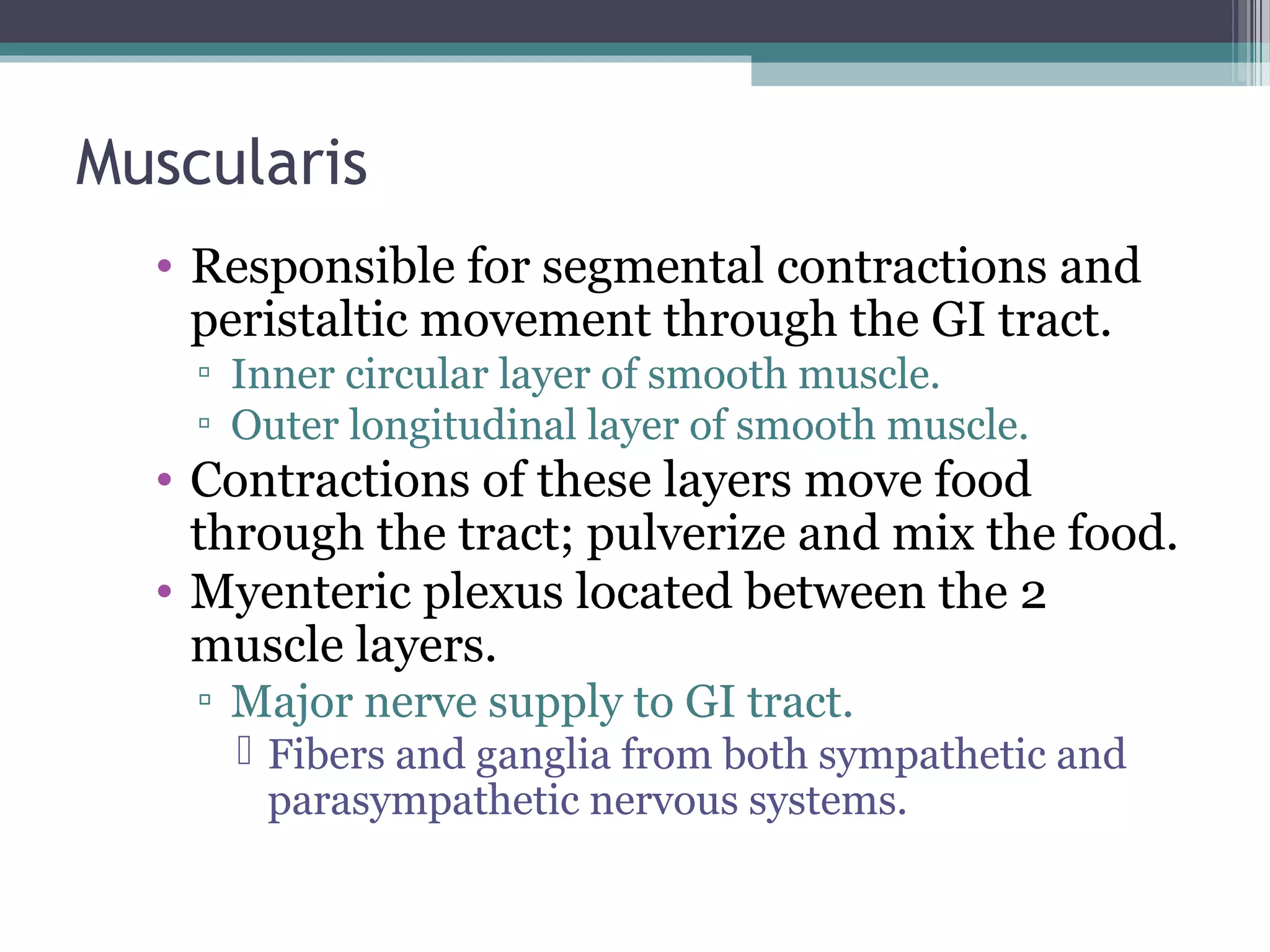 The digestive system | PPT