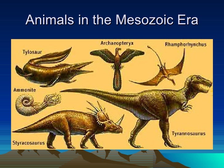 Mesozoic Meaning Mesozoic Era