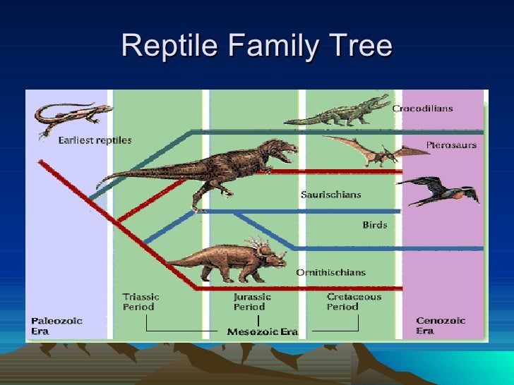 Chp2 Forces Building the Land