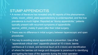 Chp 30 The Appendix.pptx