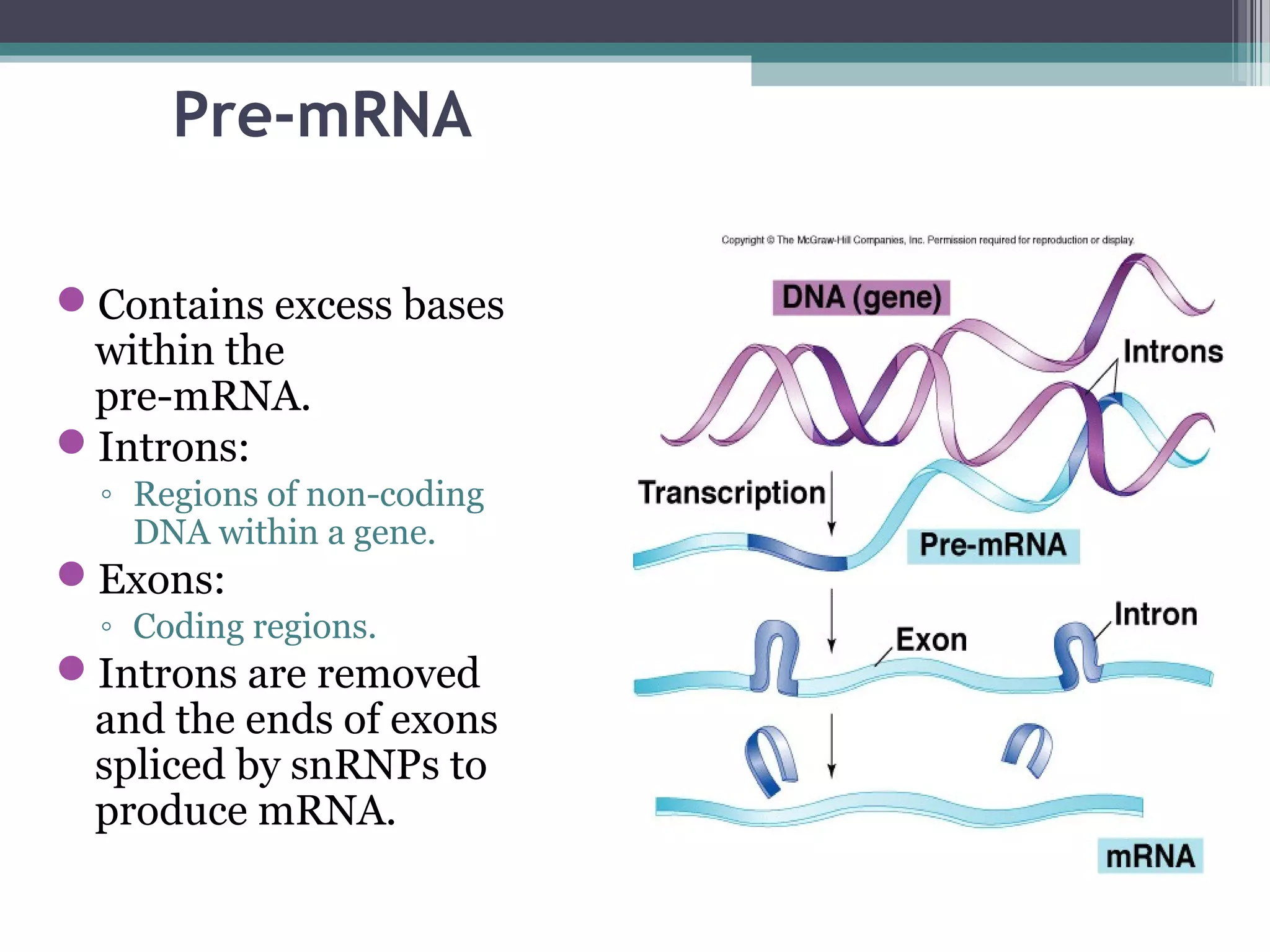Cell structure and genetic control | PPT