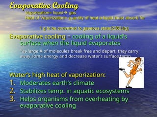 Bio chemistry about the structure and properties of water | PPT