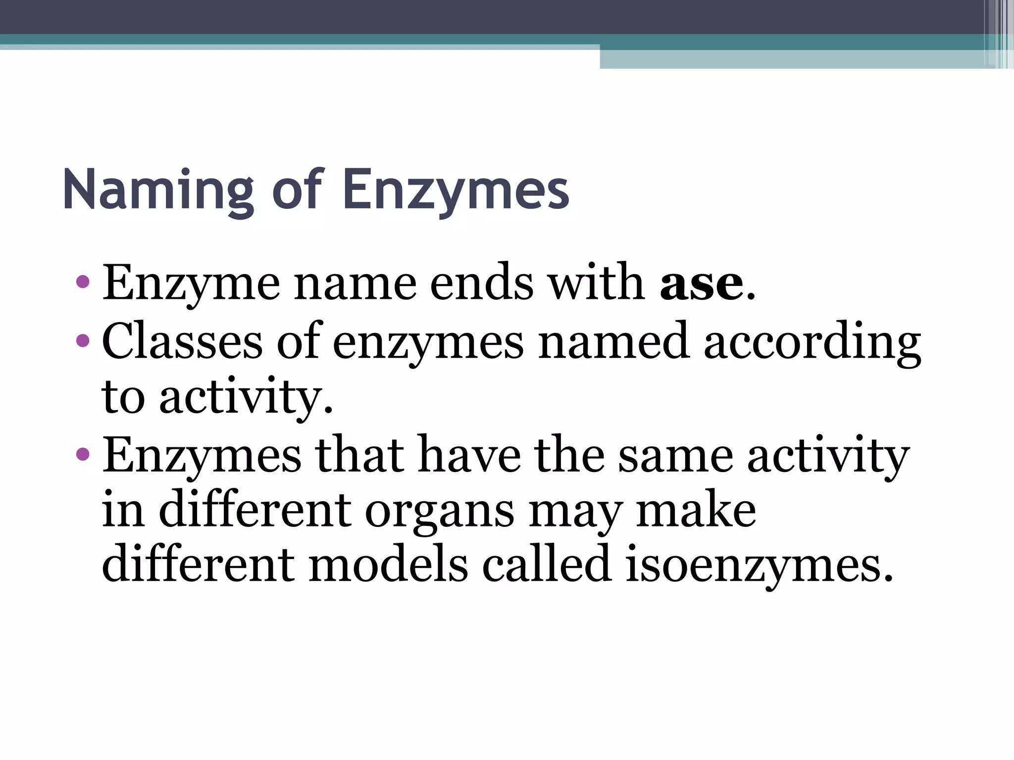 Enzymes and energy | PPT