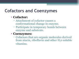 Enzymes and energy | PPT