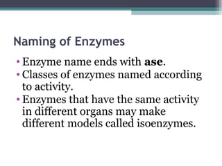 Enzymes and energy | PPT | Chemistry | Science