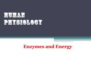 Enzymes and energy | PPT