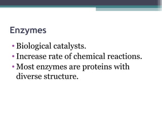 Enzymes and energy | PPT